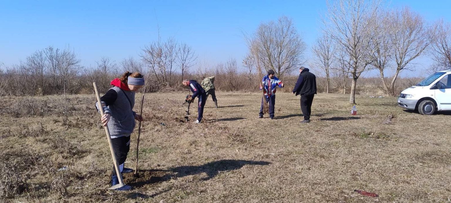 MZ Idvor: Ozelenjavanje obale Tamiša